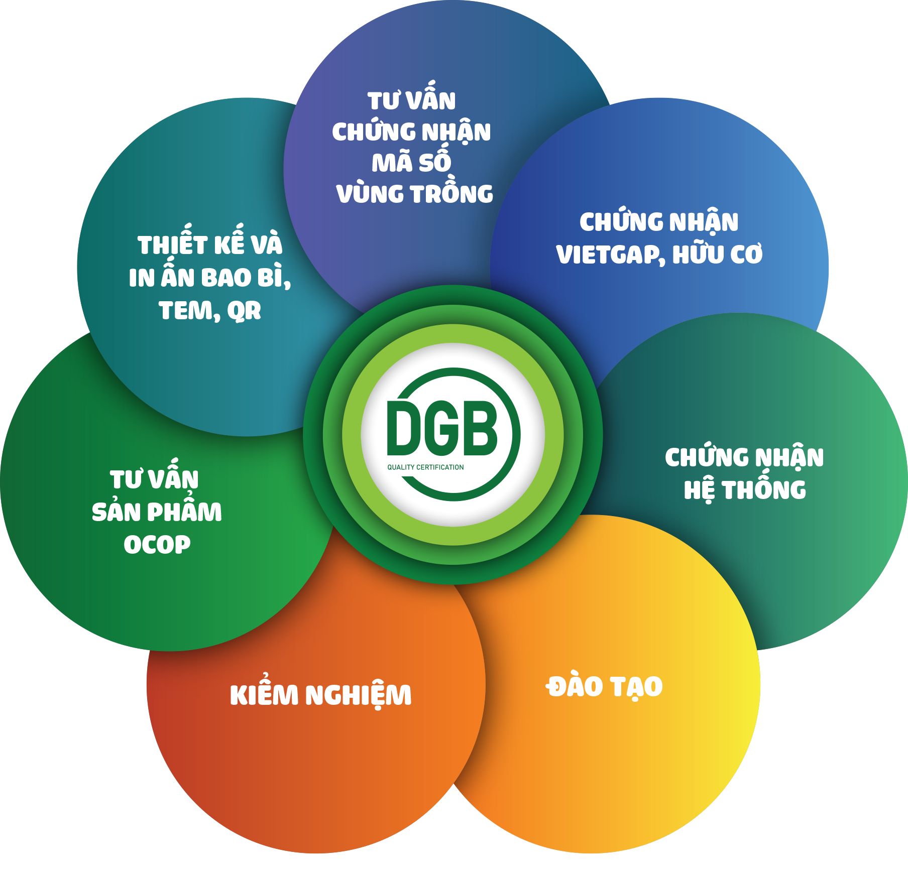 Công ty TNHH Tiêu chuẩn và Chứng nhận DGB